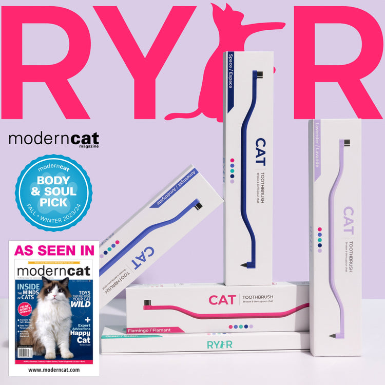 Cat Toothbrush | RYERCAT – ryercat.com