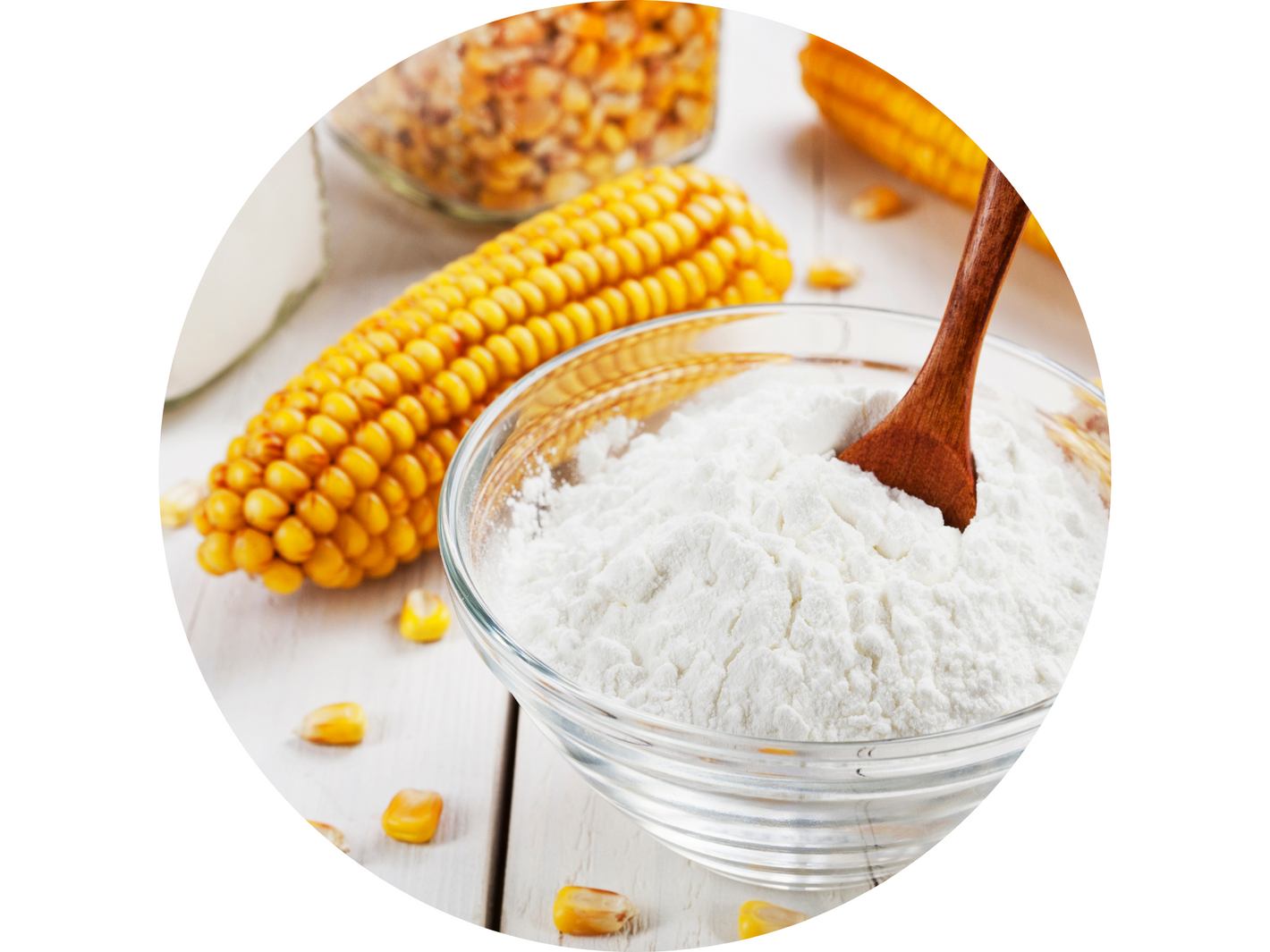 Cat Toothbrushes & Paste | Start Brushing Today | Ryercat – RYERCAT