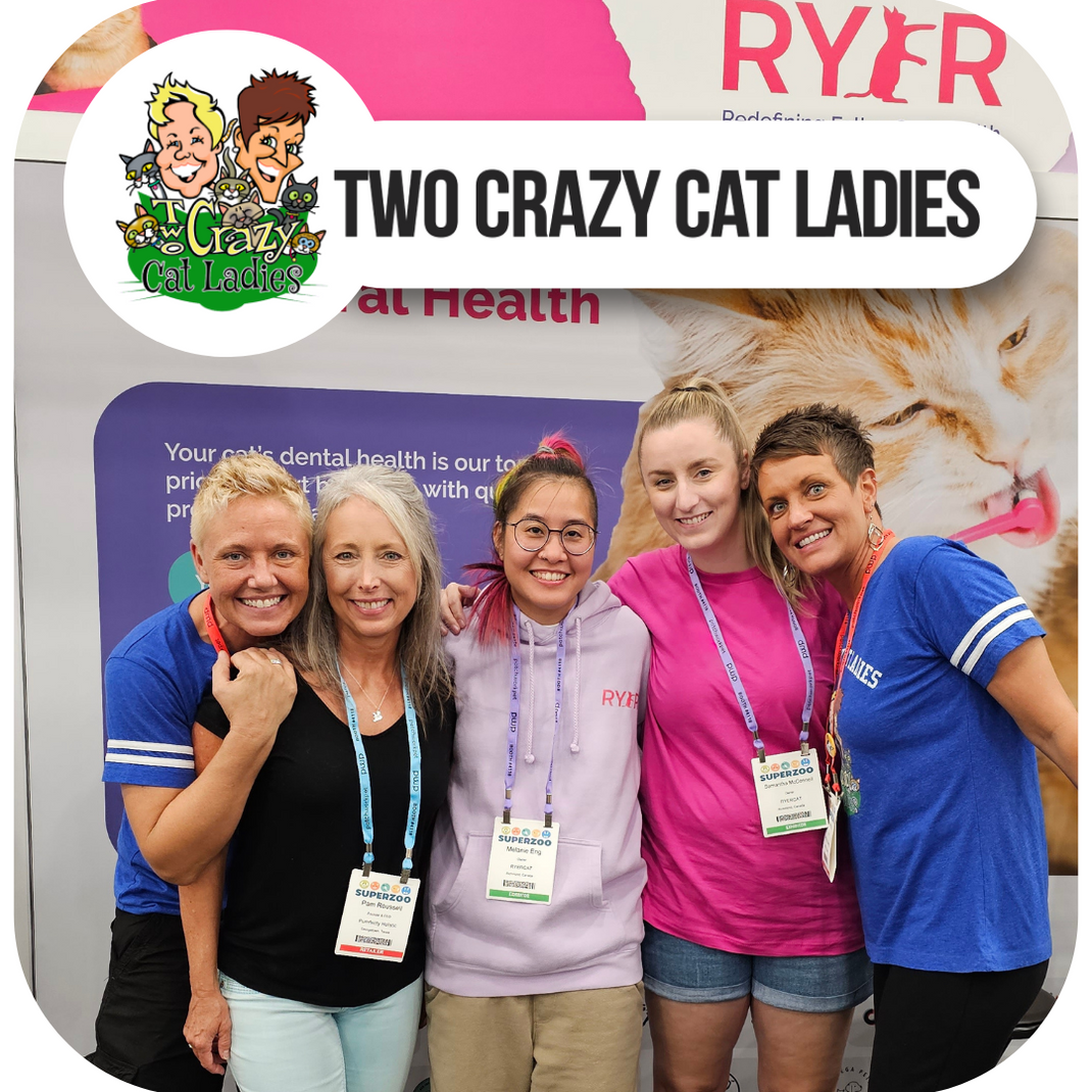 Cat Toothbrush | RYERCAT – ryercat.com