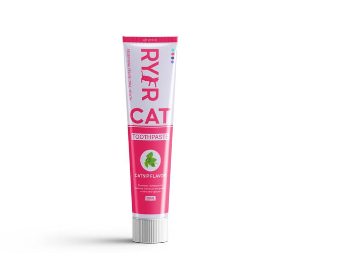 Catnip Flavor Toothpaste | Ryer Cat – ryercat.com